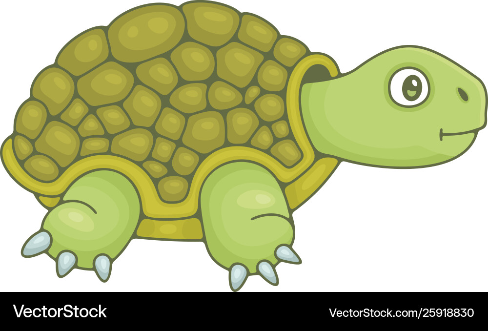Turtle Royalty Free Vector Image - VectorStock