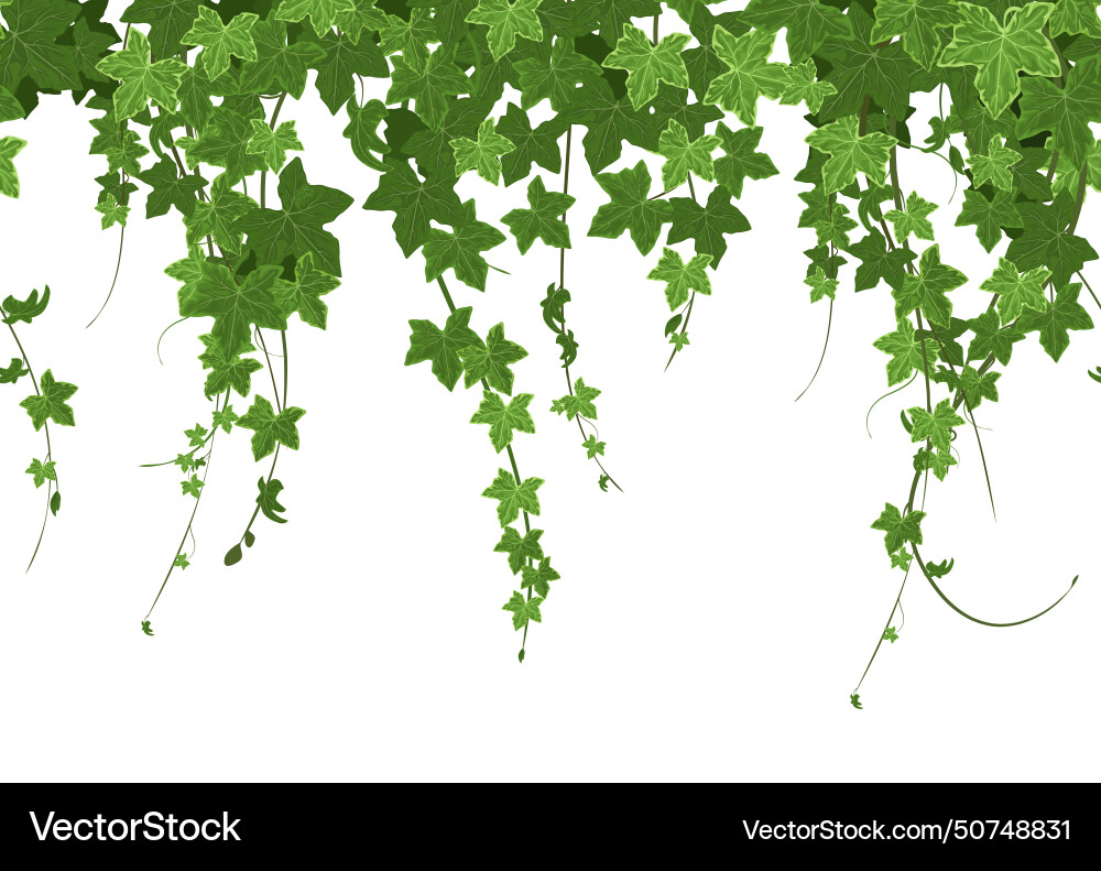 Ivy border seamless composition Royalty Free Vector Image