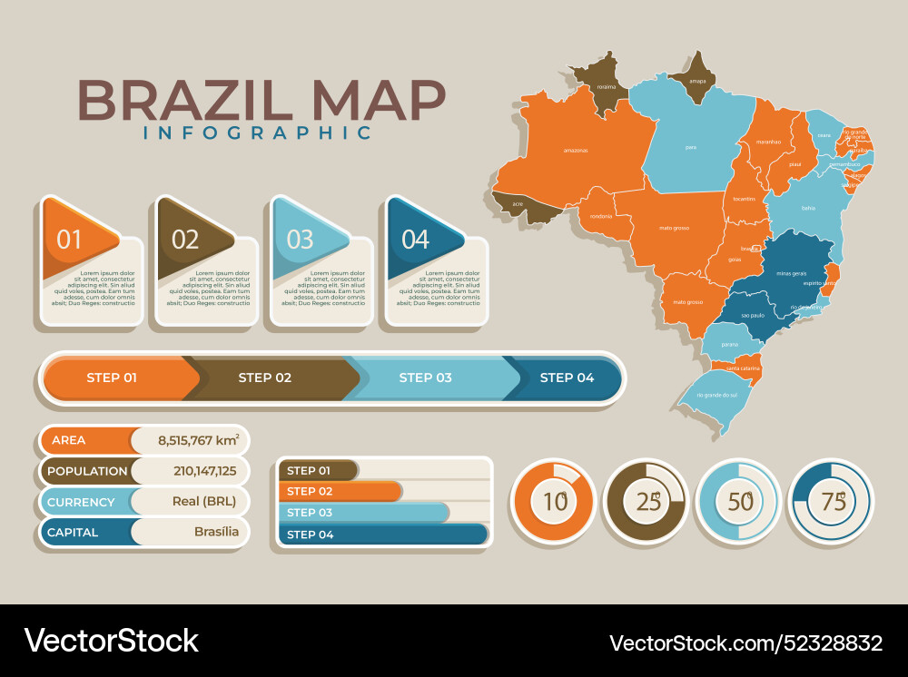 Flat brazil map infographic Royalty Free Vector Image