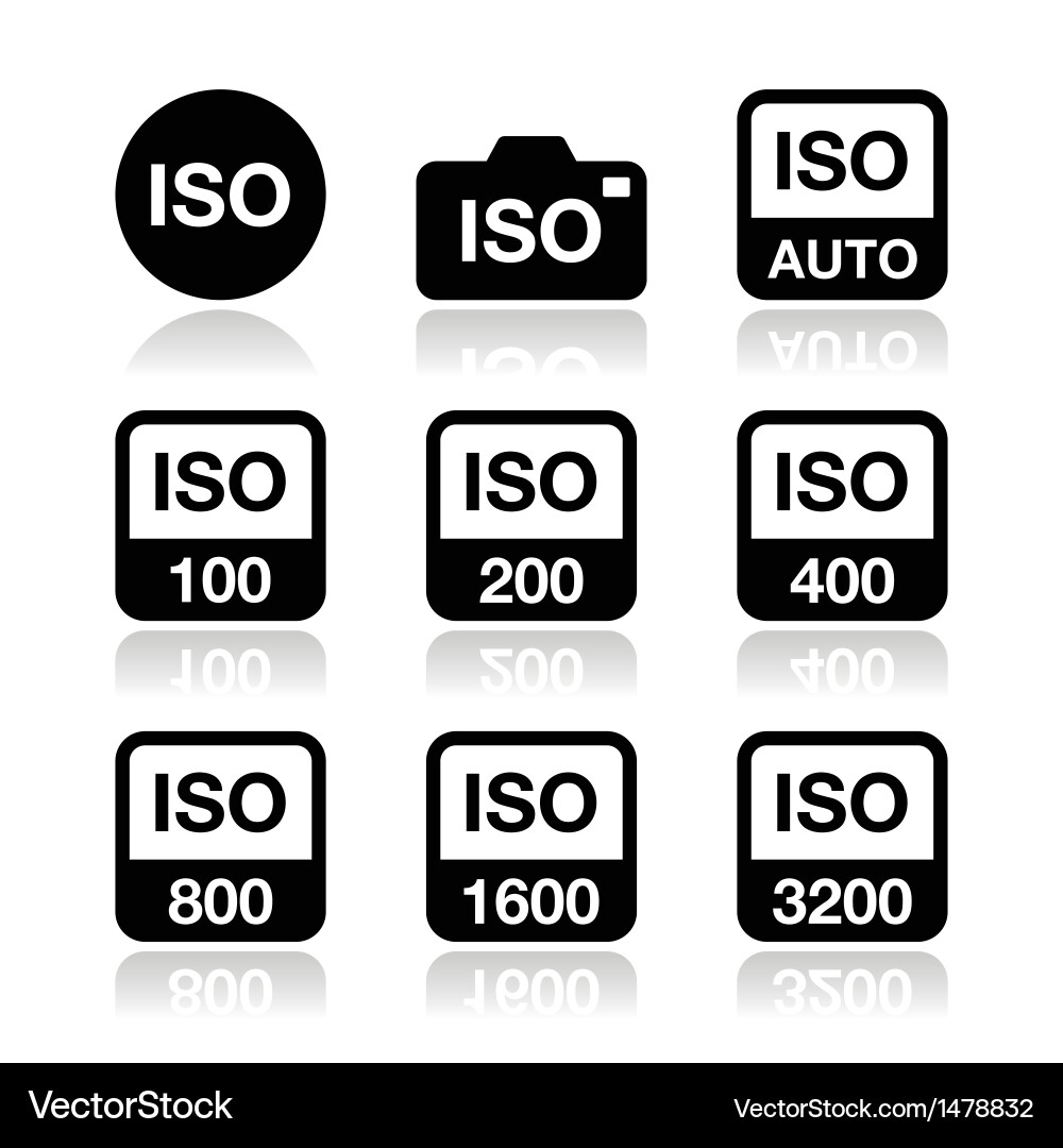 Iso - camera film speed standard icons set Vector Image