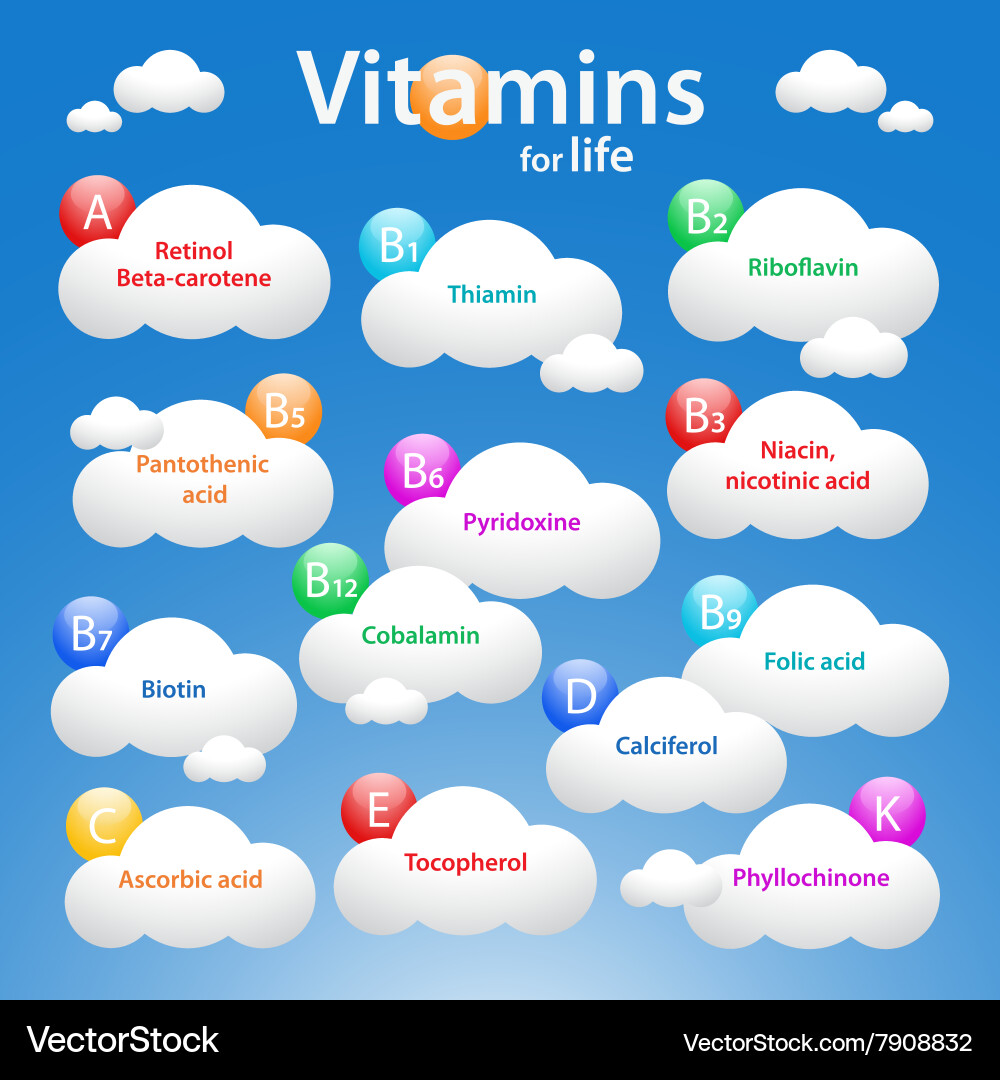 Medical background with vitamins names Royalty Free Vector