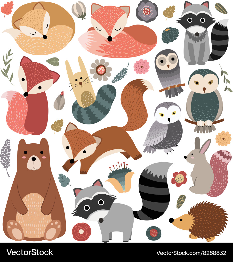 Woodland animals Royalty Free Vector Image - VectorStock