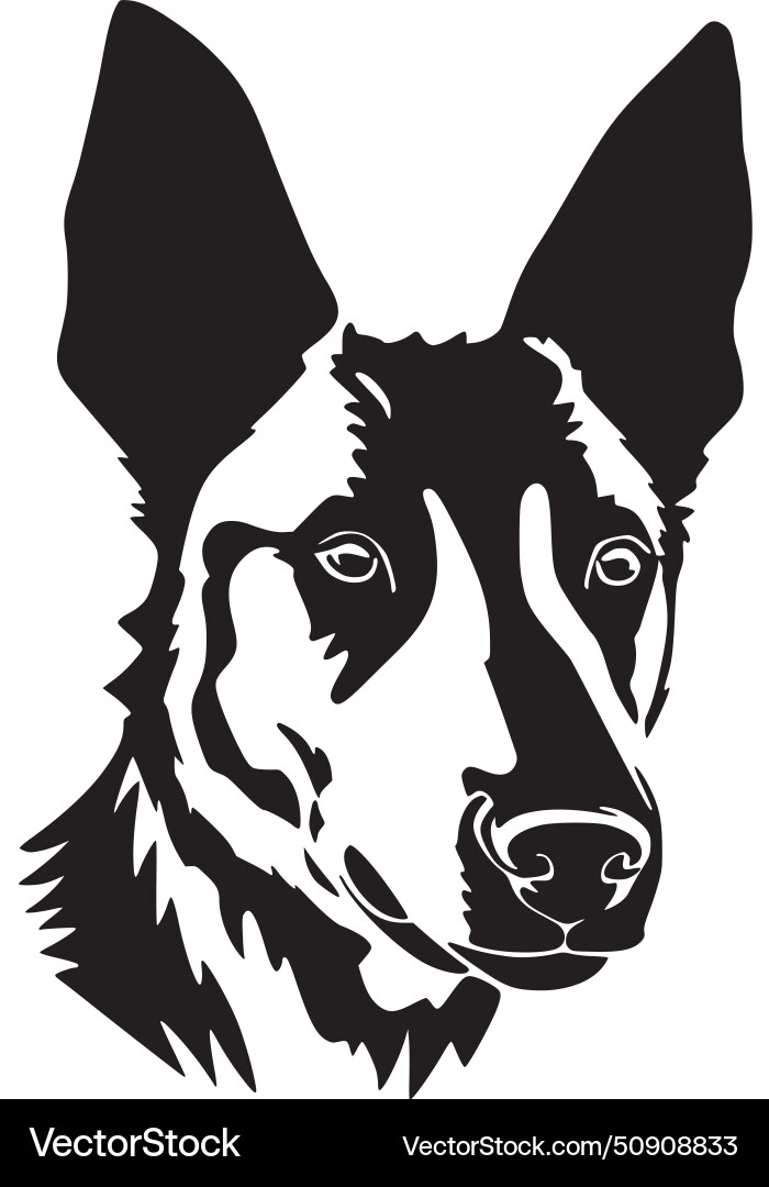 Australian kelpie - black and white Royalty Free Vector