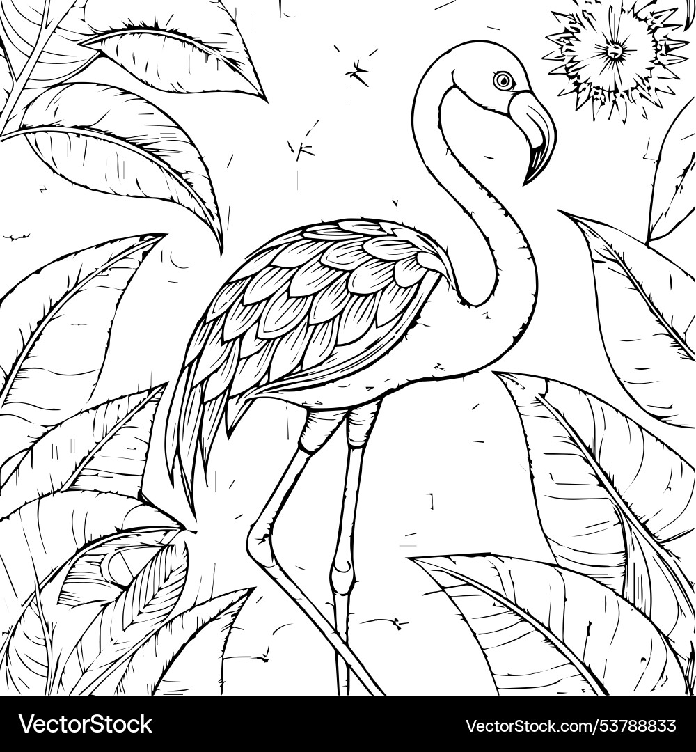 Flamingo coloring book page design Royalty Free Vector Image