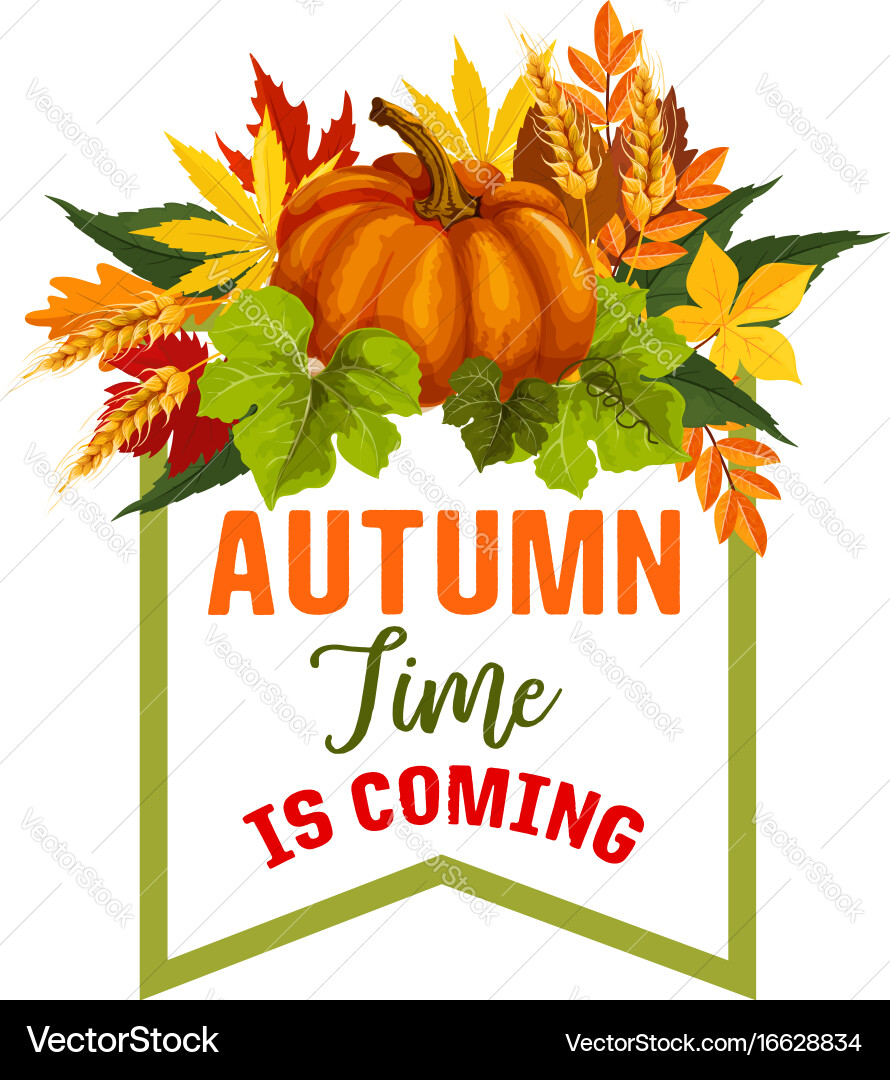 Autumn time maple leaf or pumpkin poster Vector Image