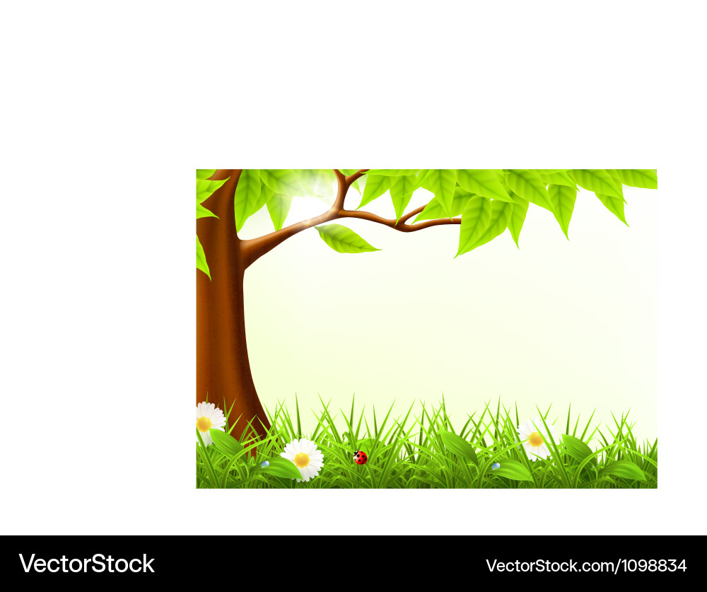 Green tree frame Royalty Free Vector Image - VectorStock