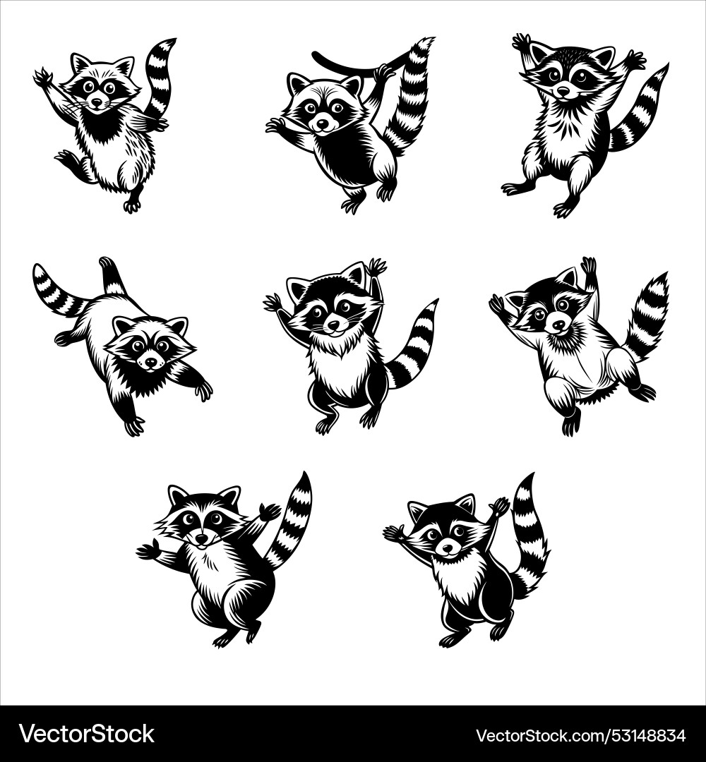 Raccoon hanging upside down svg Royalty Free Vector Image