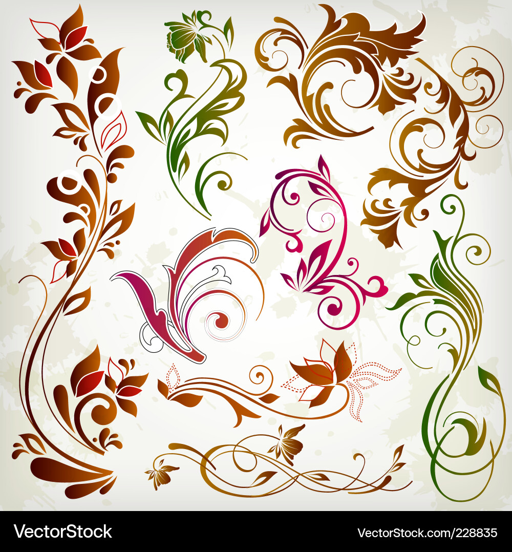 Floral elements Royalty Free Vector Image - VectorStock