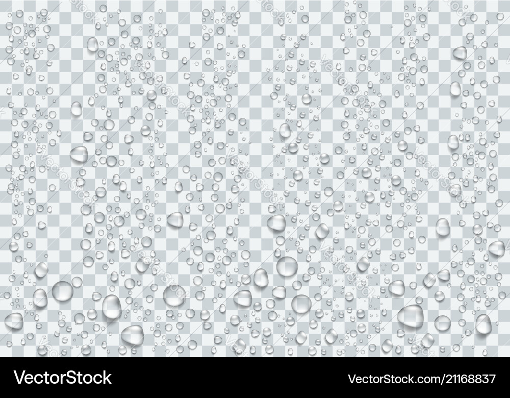 Realistic raindrop on the transparent background Vector Image