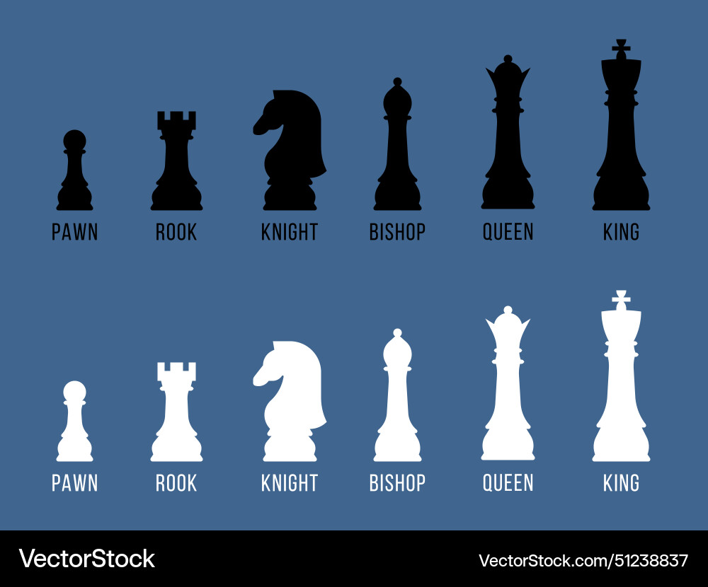 Set of white and black chess pieces Royalty Free Vector
