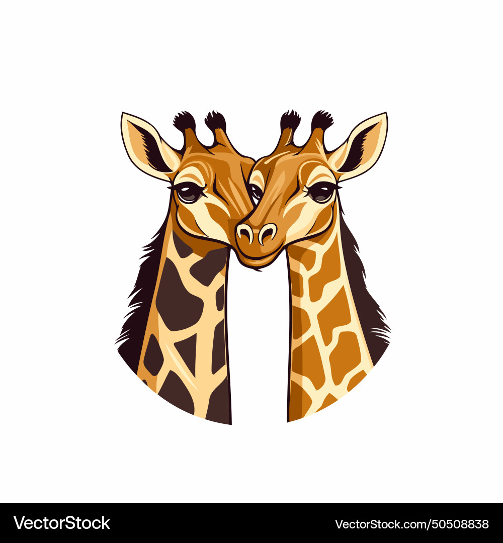 Giraffe head Royalty Free Vector Image - VectorStock
