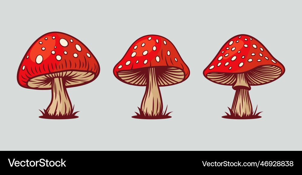 Hand drawn mushroom with outline icon set Vector Image