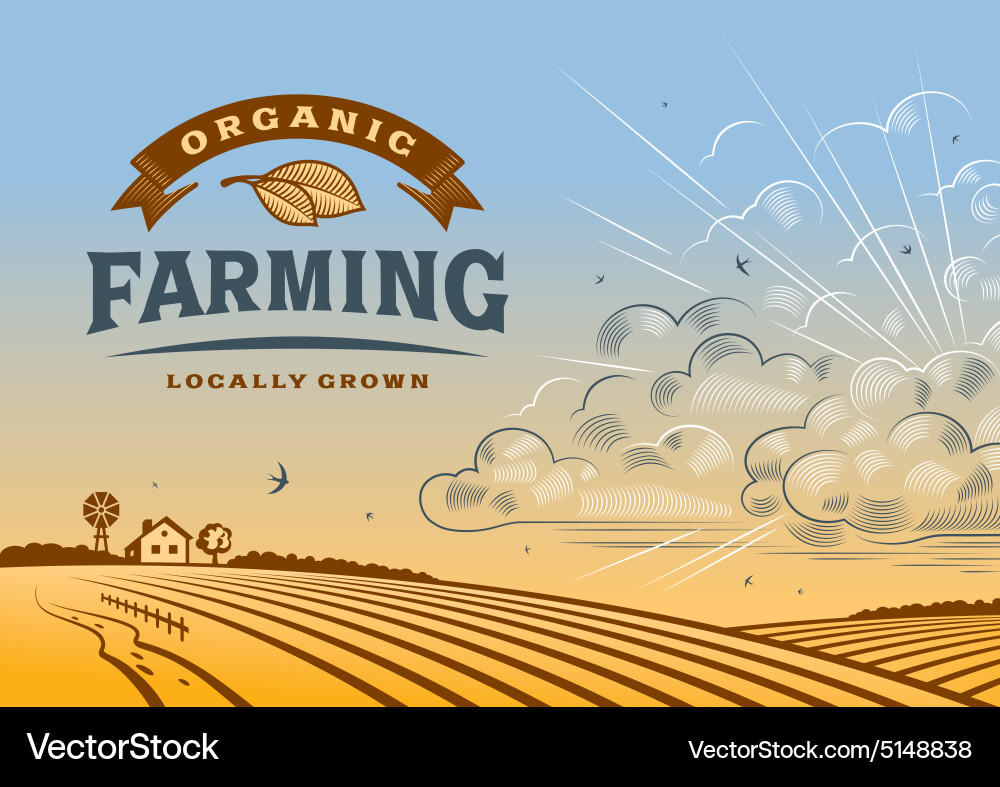 Organic farming landscape Royalty Free Vector Image