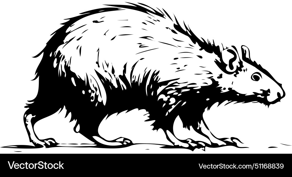 Agouti standing sideways hand drawn animal Vector Image