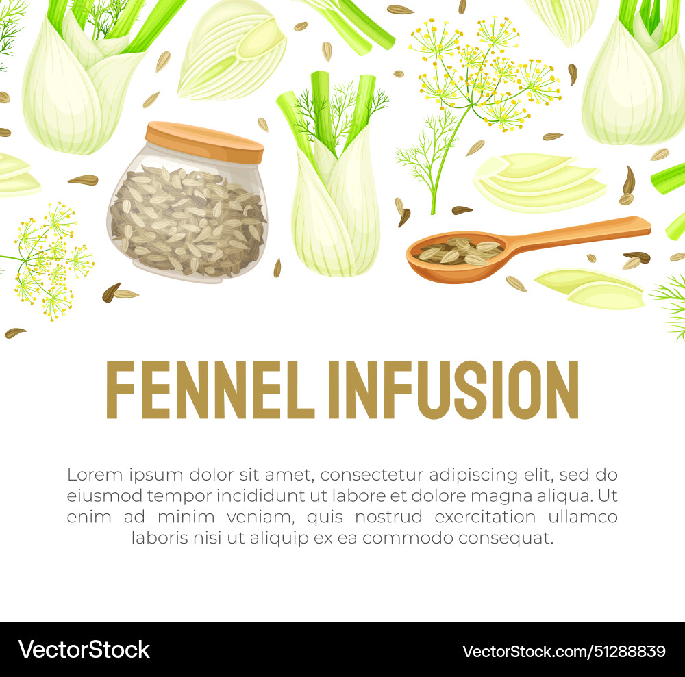 Fennel banner design with edible condiment Vector Image