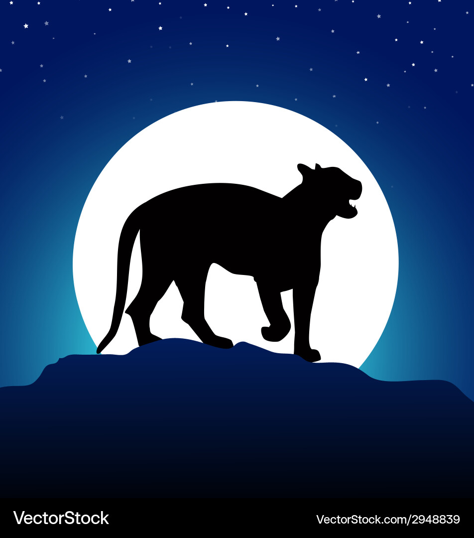 Tiger and moon at night Royalty Free Vector Image