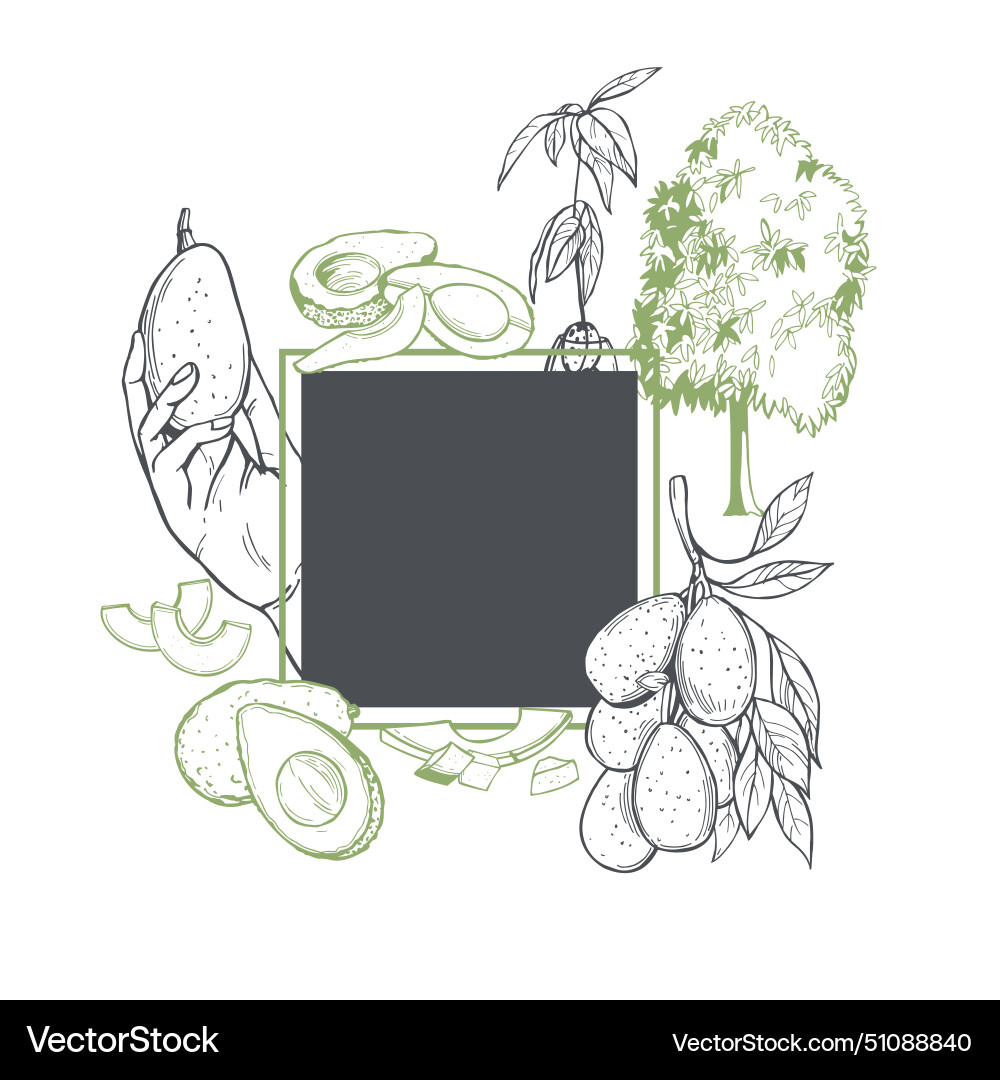 Avocado set frame Royalty Free Vector Image - VectorStock