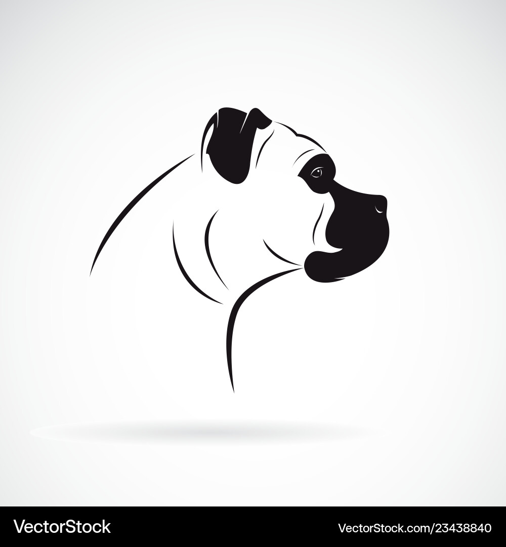 Dog head design boxer on white background Vector Image