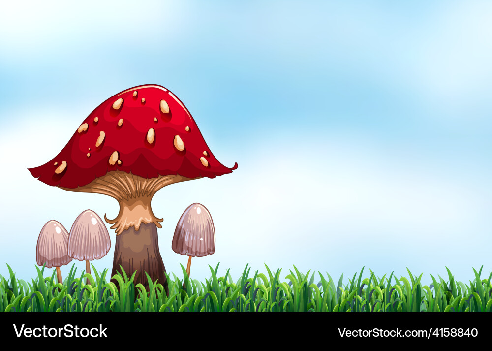 Mushroom Royalty Free Vector Image - VectorStock