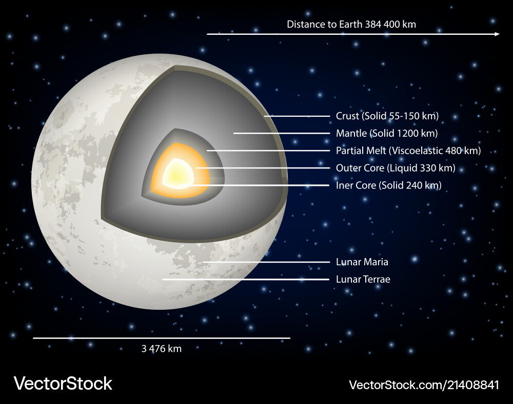 Moon structure diagram Royalty Free Vector Image