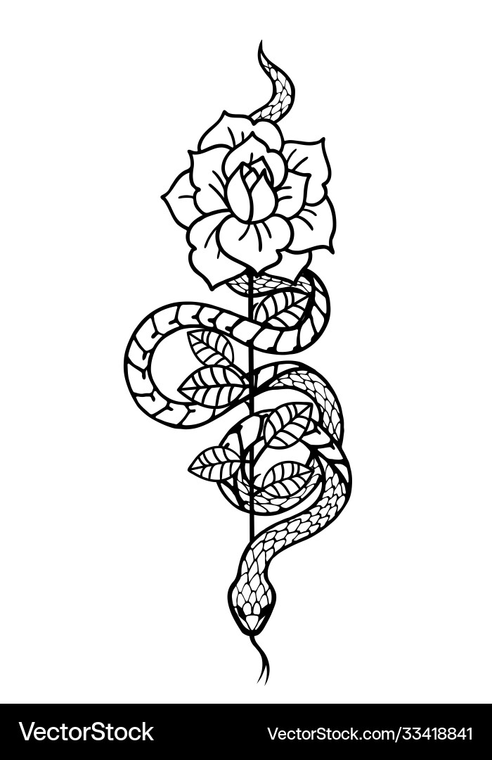 Rose & Snake Tattoo - Traditional Black Ink Vector Image