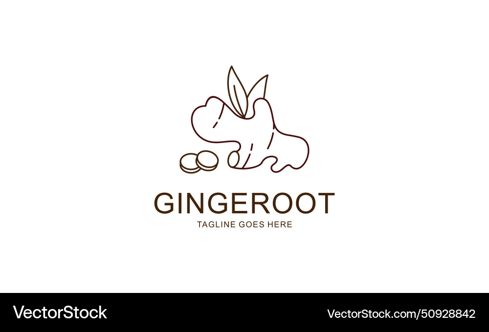 Ginger root logo round linear logo of ginger Vector Image