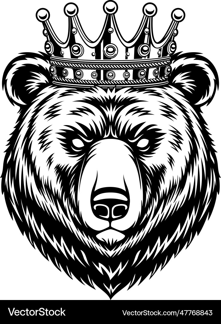 Prince Bear Vector Images (over 140)