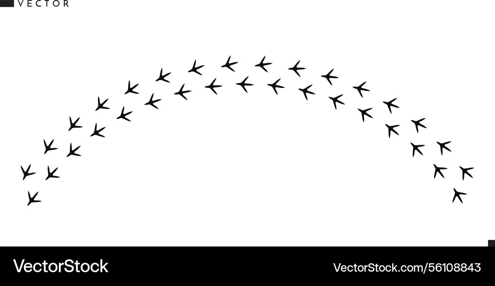 Chicken paw prints Royalty Free Vector Image - VectorStock