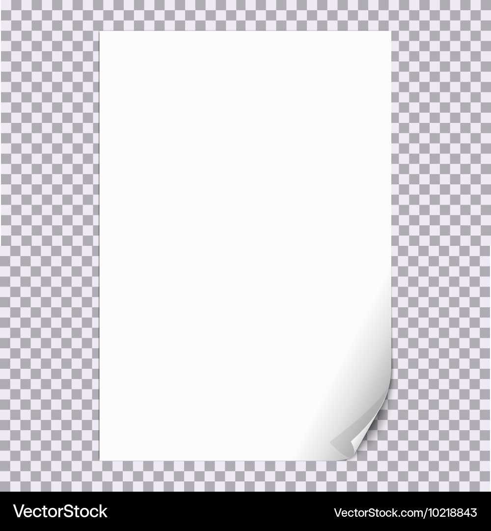 Curled paper corner a4 with transparent background