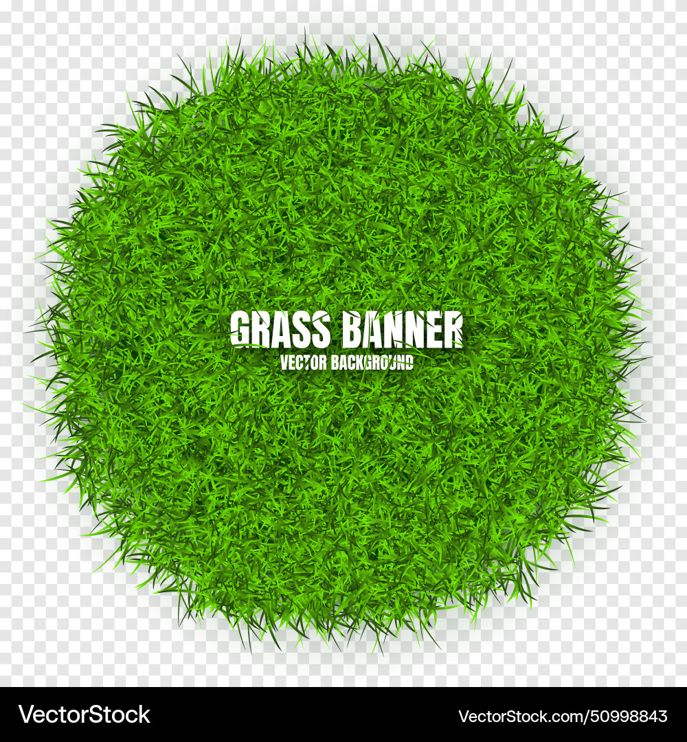 Green grass banners background field meadow Vector Image