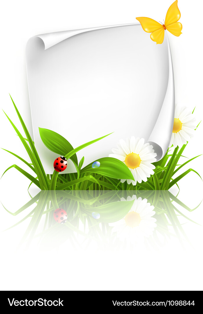 Floral Spring Frame Royalty Free Vector Image - VectorStock