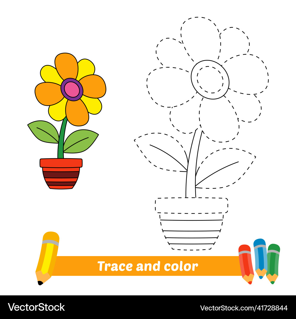 Flower Trace & Color Activity for Kids Vector Image