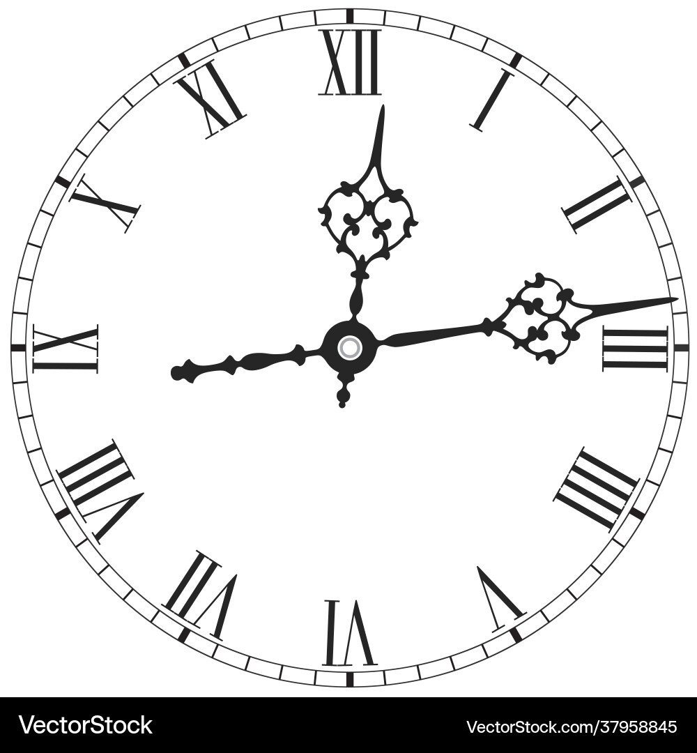 Elegant clock face with roman numerals on white Vector Image