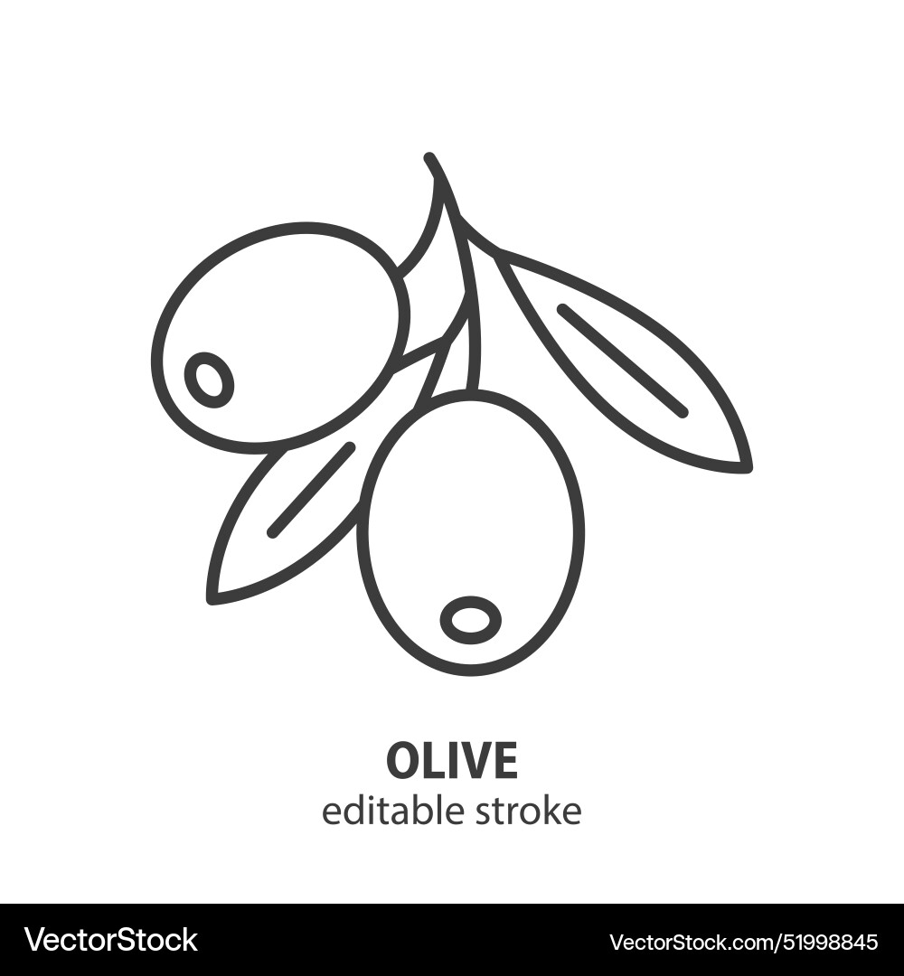 Olive branch line icon symbol oil Royalty Free Vector Image