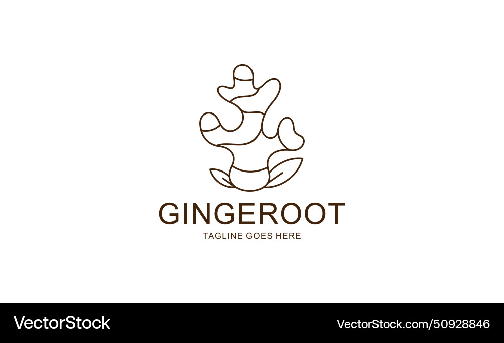 Ginger root logo round linear logo of ginger Vector Image