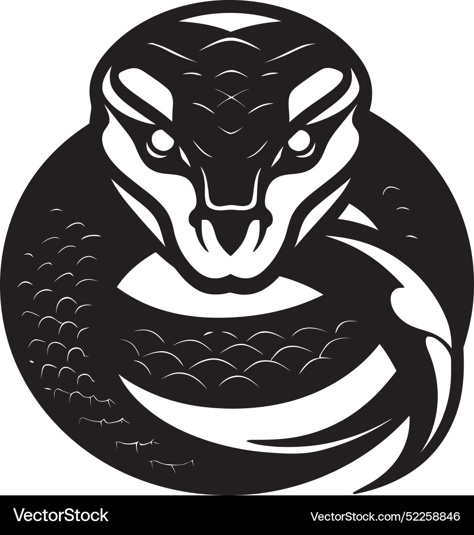 Venomous viper shadows intricate snake black mamb Vector Image