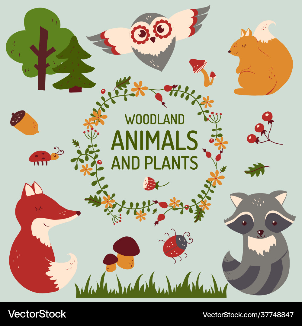 Adorable Woodland Animals Royalty Free Vector Image