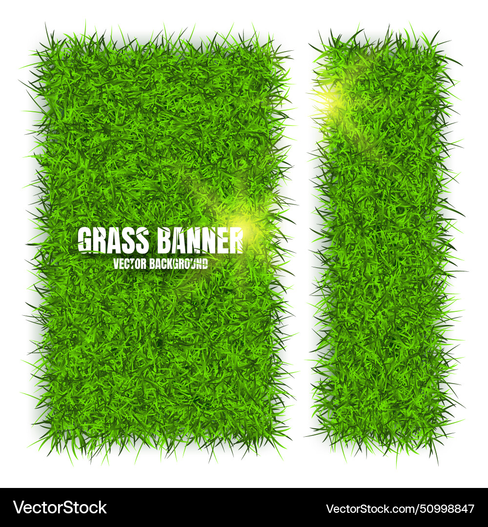 Green grass banners background field meadow Vector Image