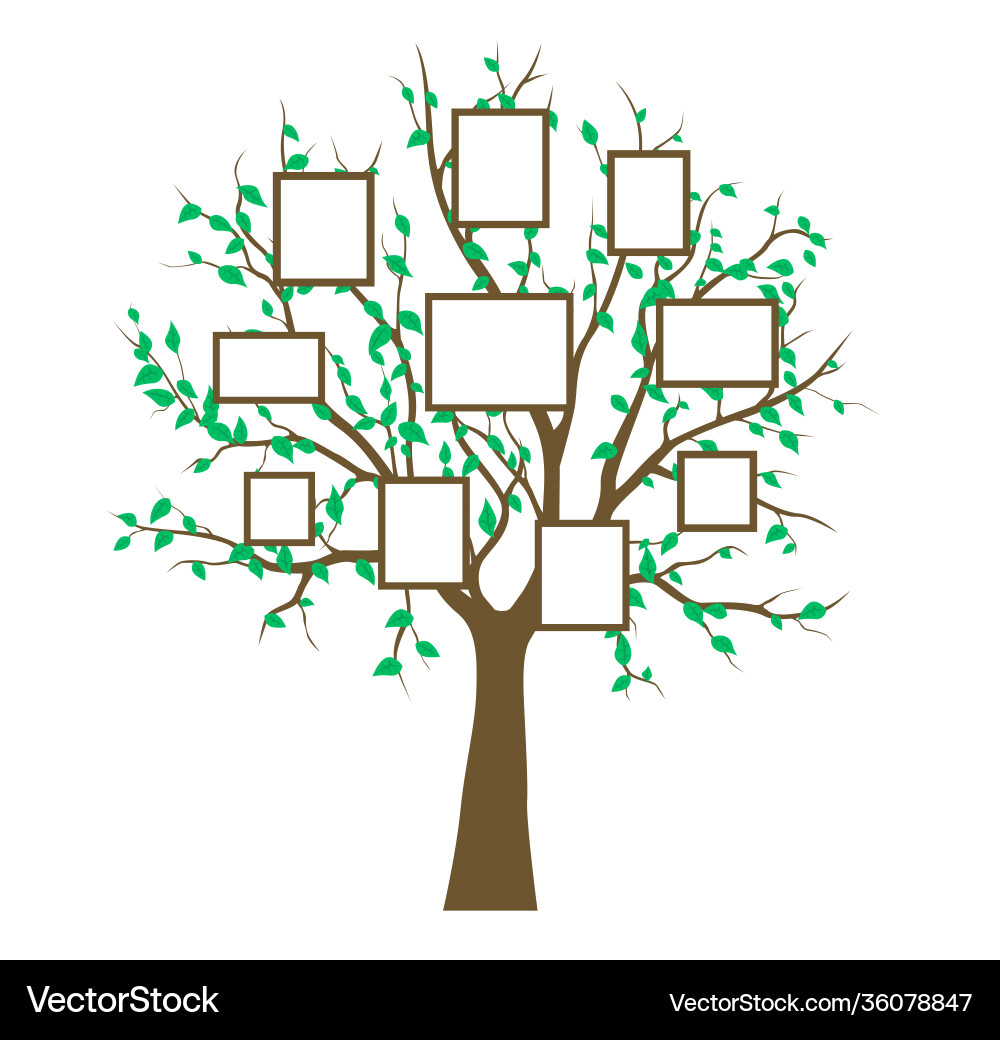 Family Tree Vector Images (over 45,000)