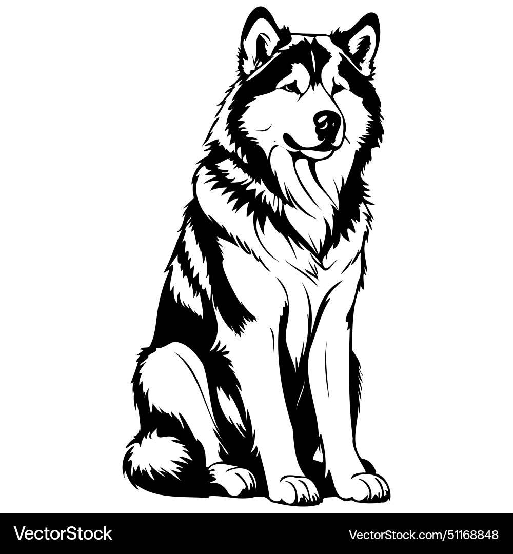 Alaskan malamute sitting drawing black silhouette Vector Image