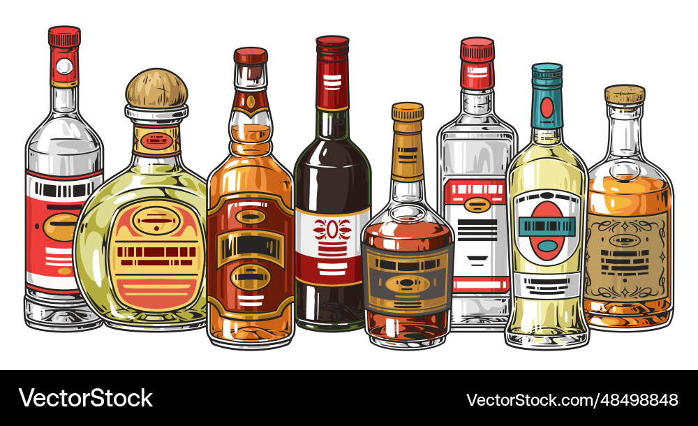 Alcohol bottles detailed flyer colorful Royalty Free Vector
