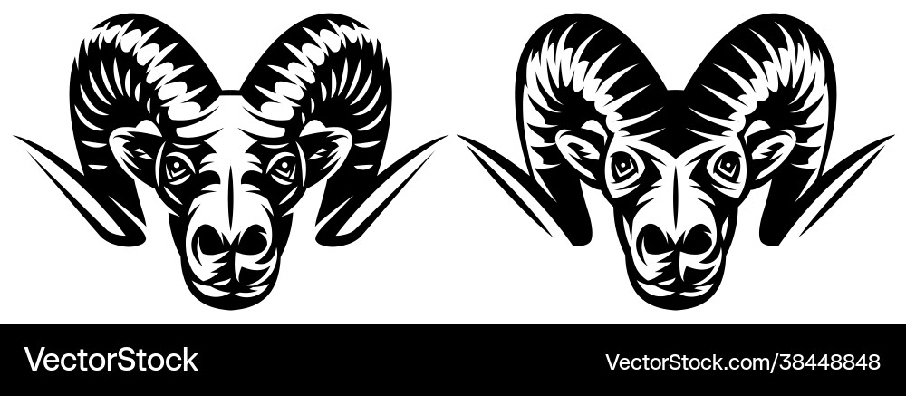 Ram heads two templates for design Royalty Free Vector Image