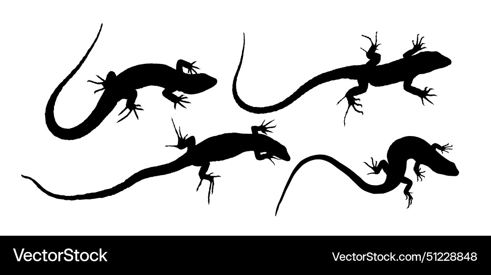 Set of silhouettes lizards Royalty Free Vector Image