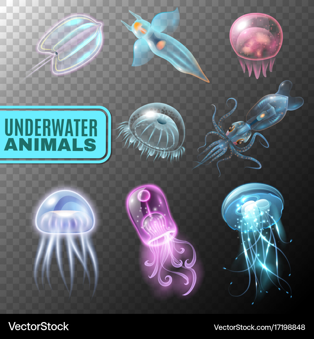 Underwater transparent icon set Royalty Free Vector Image