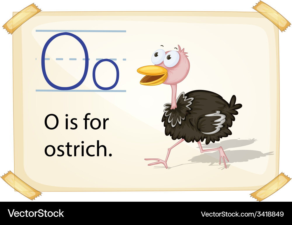 A letter o for ostrich Royalty Free Vector Image