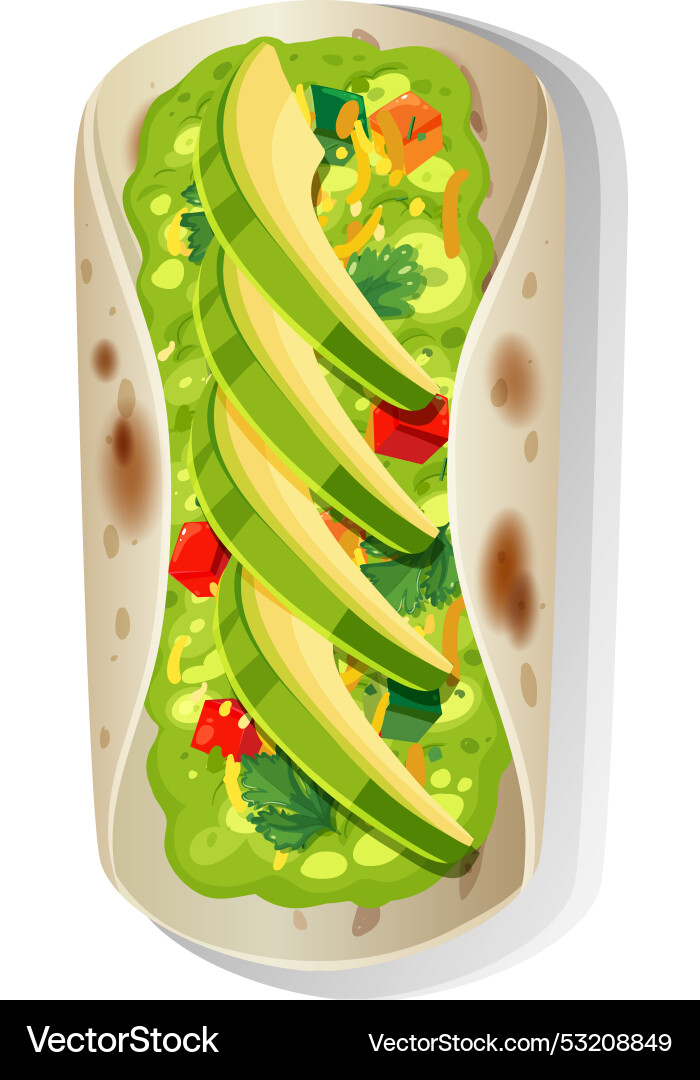 Colorful wrap with fresh avocado and vegetables Vector Image