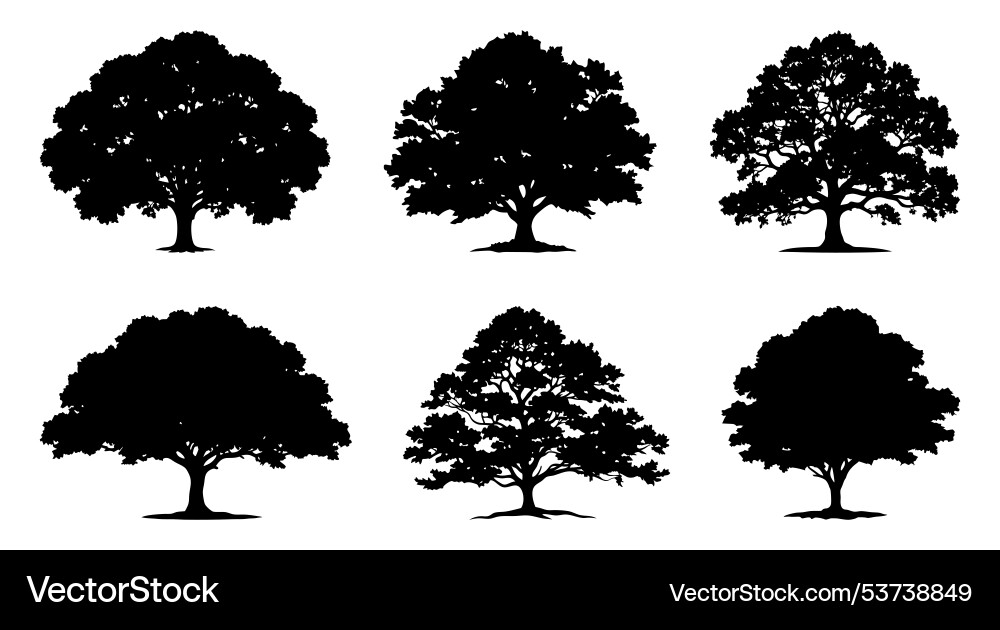 Eichenbaum Silhouette Set Lizenzfreies Vektorbild