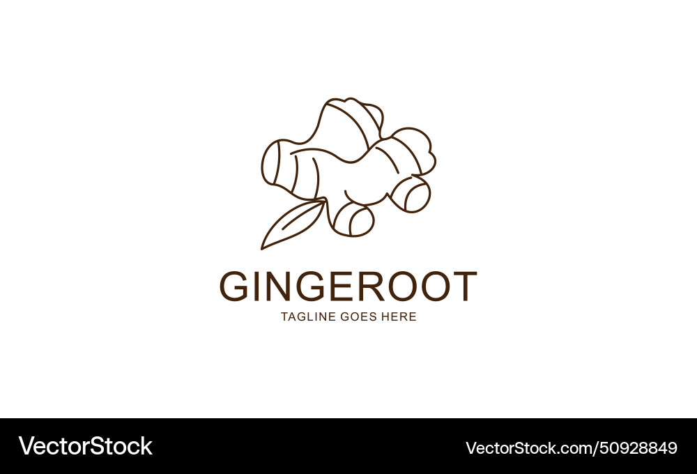 Ginger root logo round linear logo of ginger Vector Image