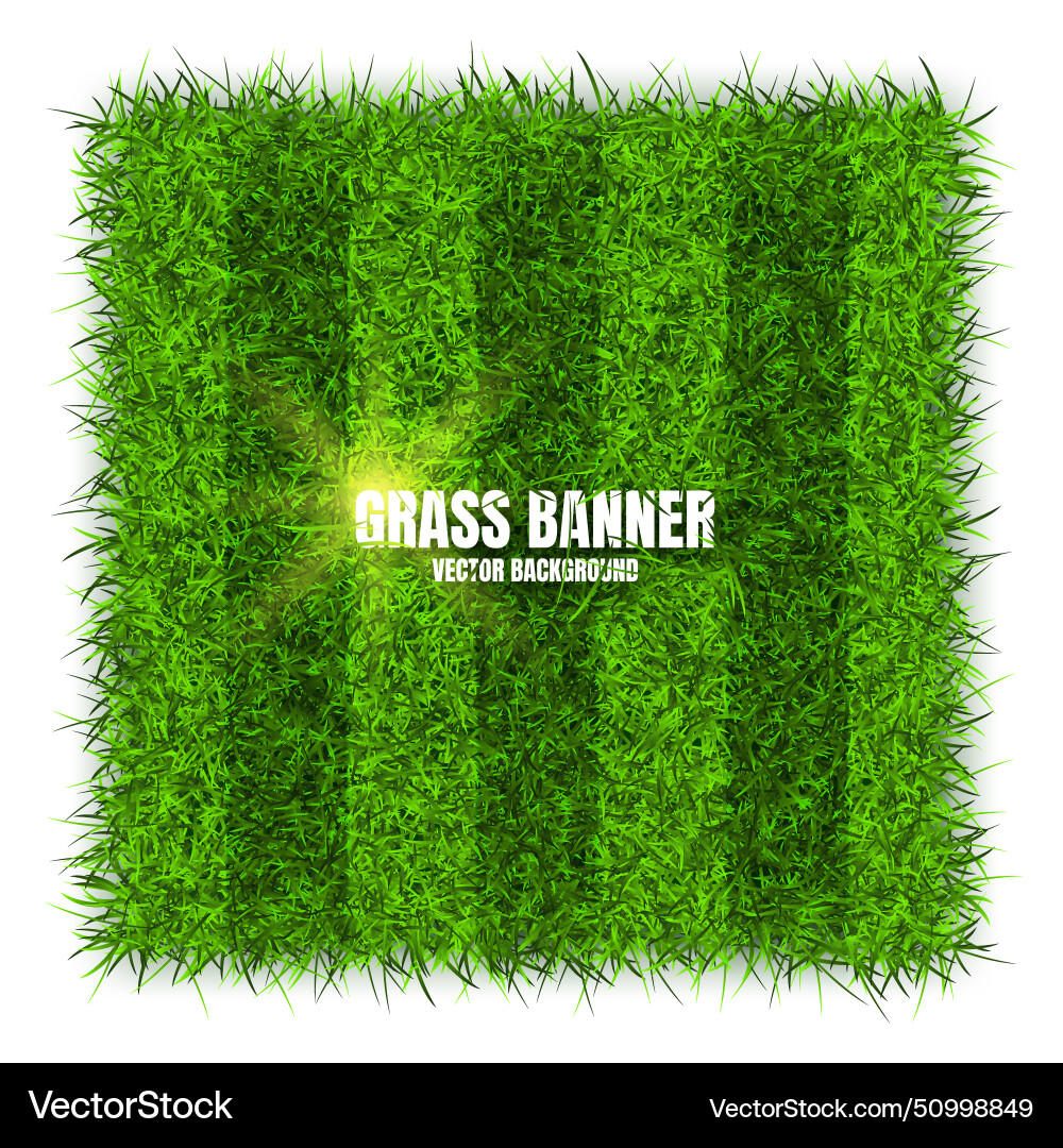 Green grass banners background field meadow Vector Image