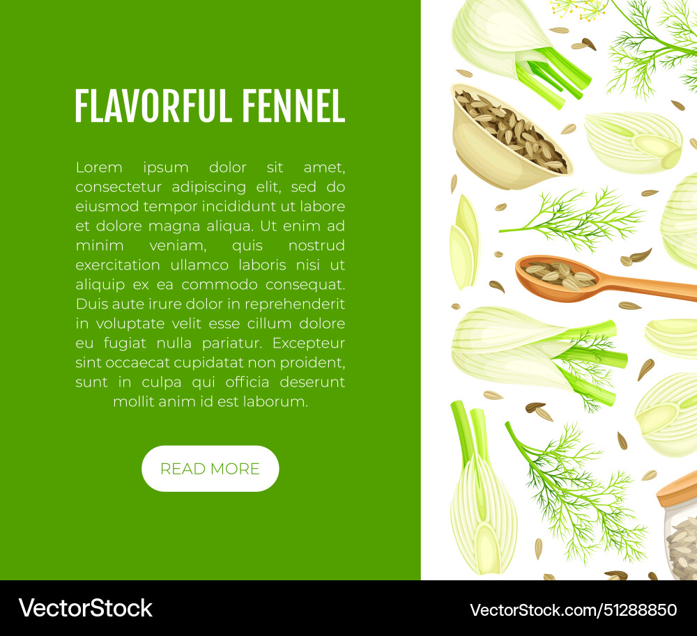 Fennel banner design with edible condiment Vector Image